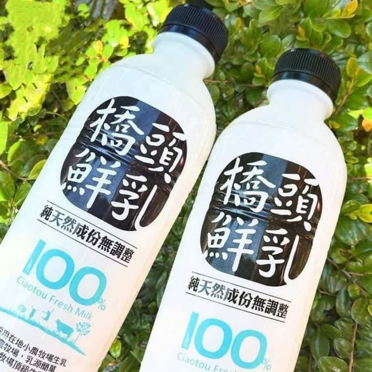 B02-限量-橋頭系列乳品優酪乳(1/23結單) | 愛+1 社群智慧整單平台